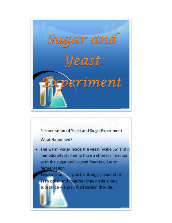 (DOC) Fermentation of Yeast and Sugar Experiment