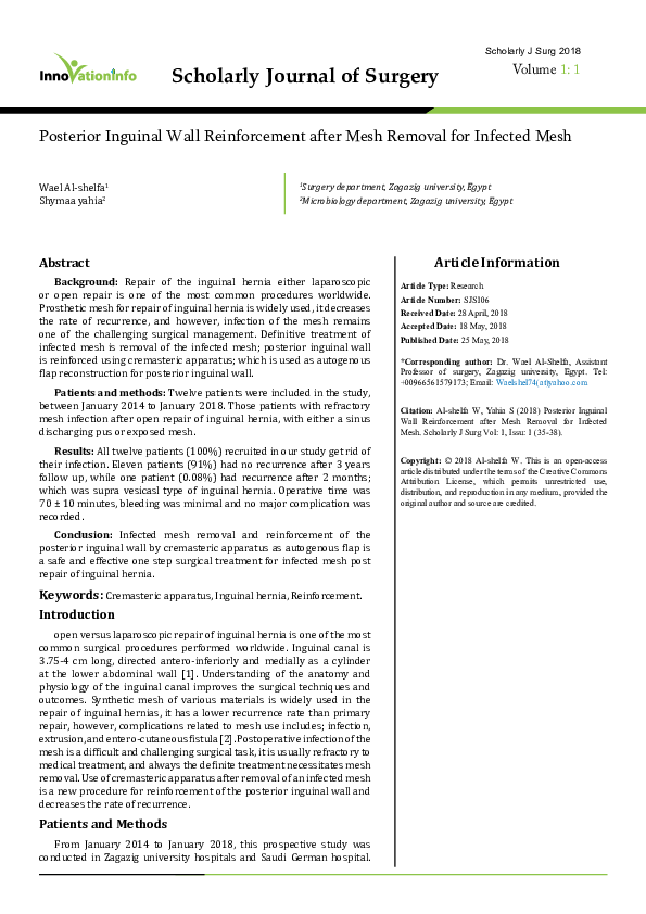 (PDF) Posterior Inguinal Wall Reinforcement after Mesh Removal for ...