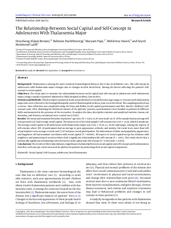 PDF The Relationship Between Social Capital And Self Concept In pdf-the-relationship-between-social-capital-and-self-concept-in
