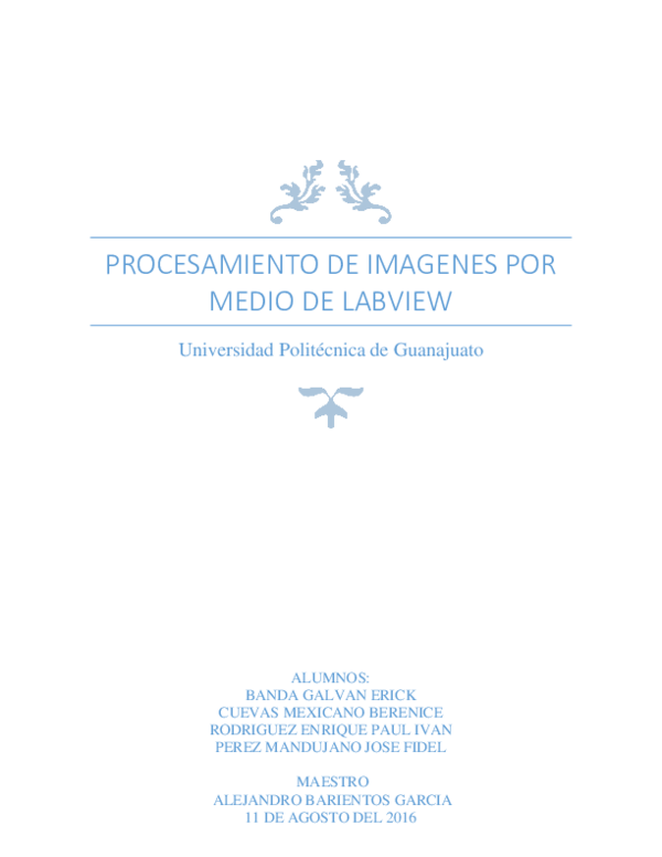 (DOC) Proyecto Procesamiento de imagenes