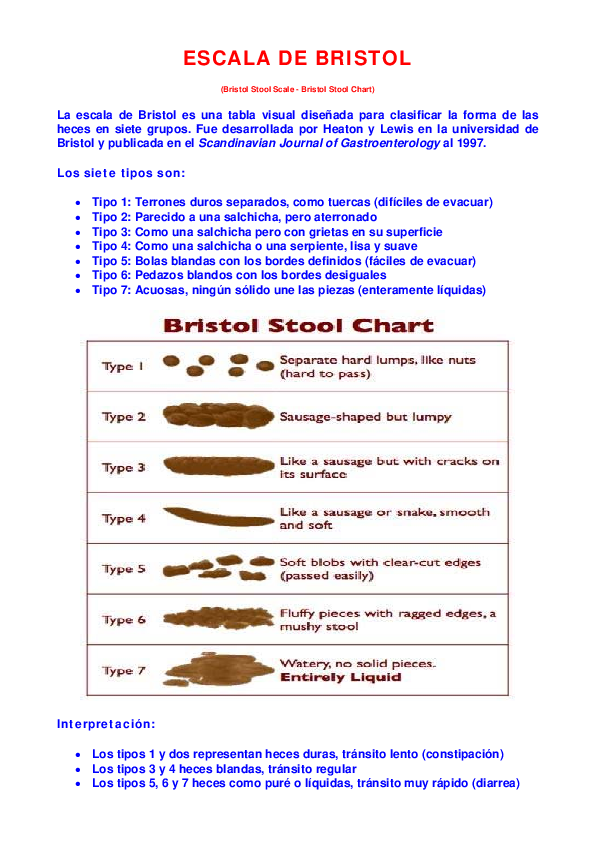 (PDF) ESCALA DE BRISTOL