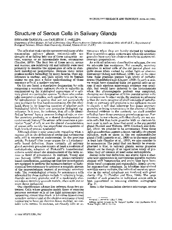 (PDF) Structure of serous cells in salivary glands