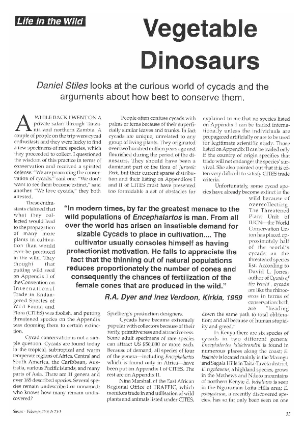 (PDF) Vegetable dinosaurs: cycads