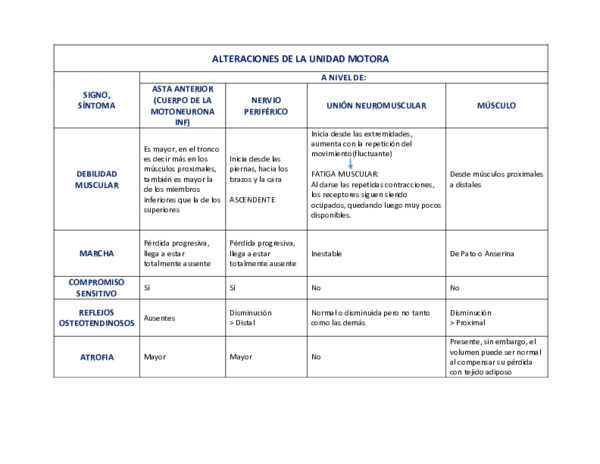 (DOC) ALTERACIONES DE LA UNIDAD MOTORA SIGNO, SÍNTOMA A NIVEL DE: ASTA ...