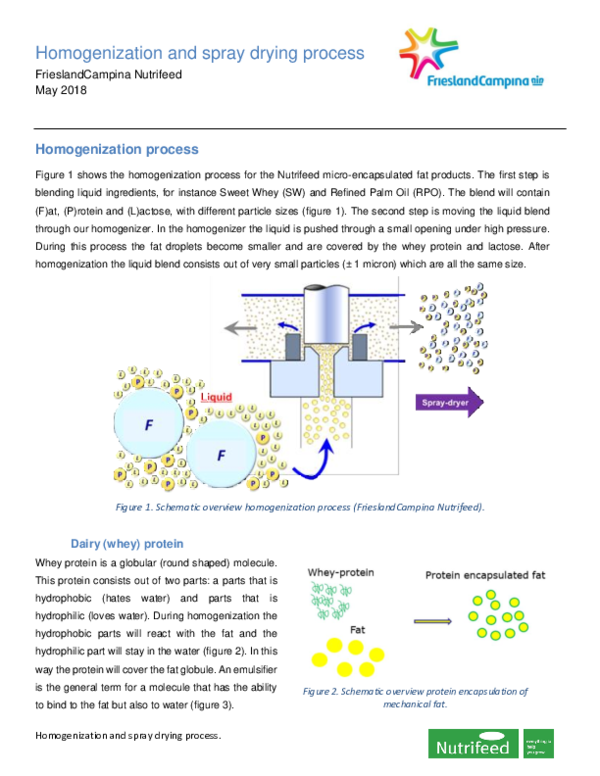 (PDF) Homogenization and spray drying process Homogenization process