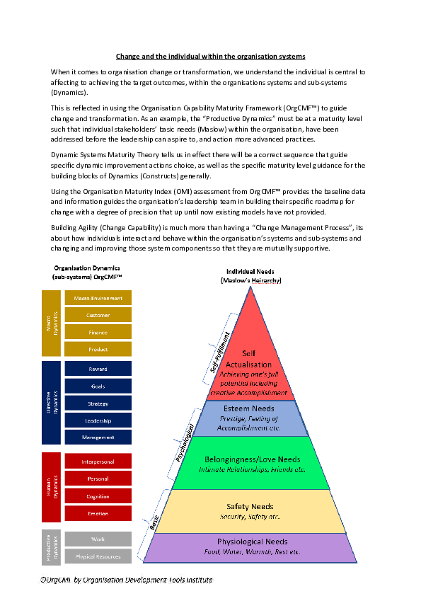(PDF) Change and the individual within the organisation systems