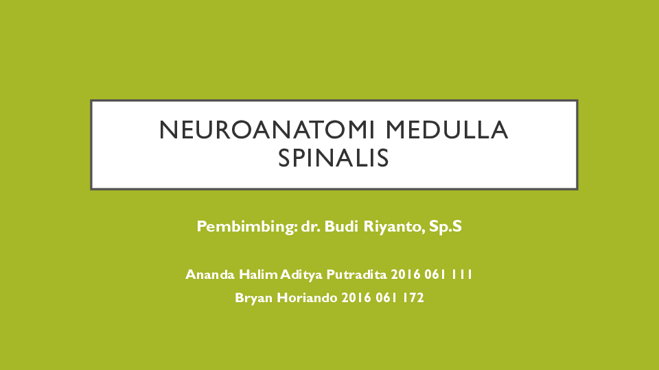 (PPT) Neuroanatomi medspin descendes