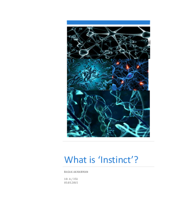 (PDF) What is 'Instinct'?