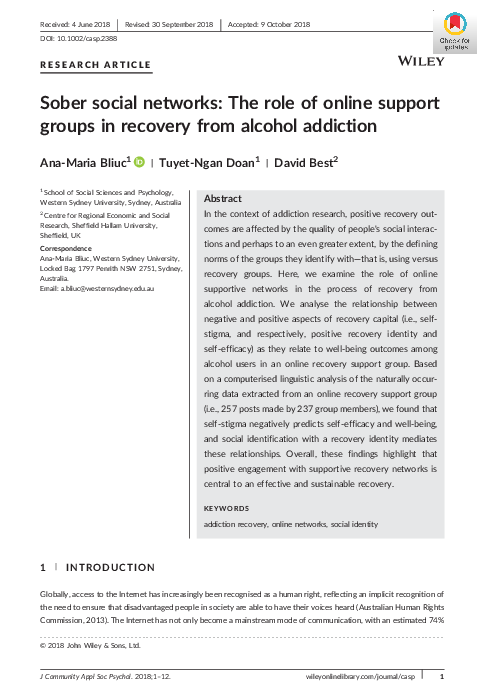 (PDF) Sober social networks: The role of online support groups in ...