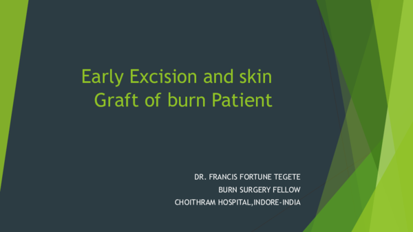 (PPT) Optimal Timing for Burn Excision and Grafting
