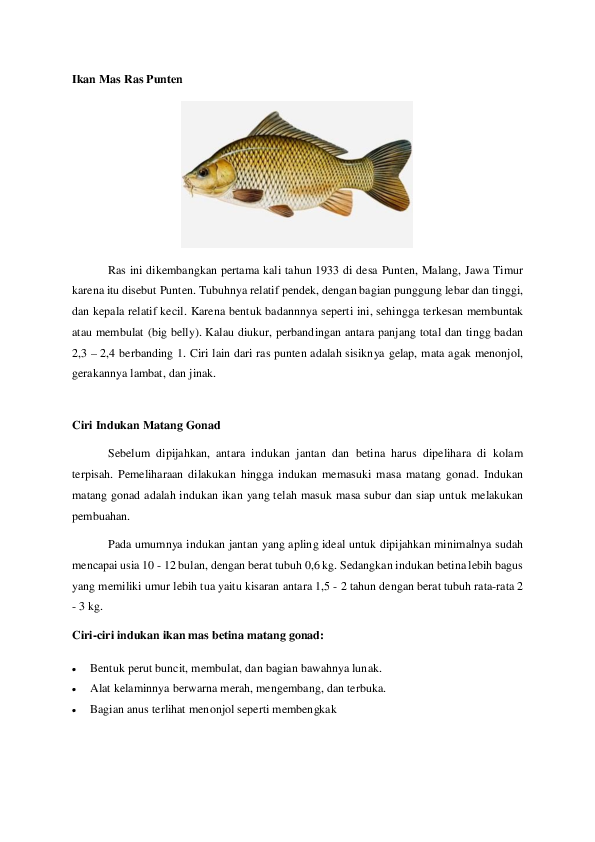 (DOC) Ikan Mas Ras Punten