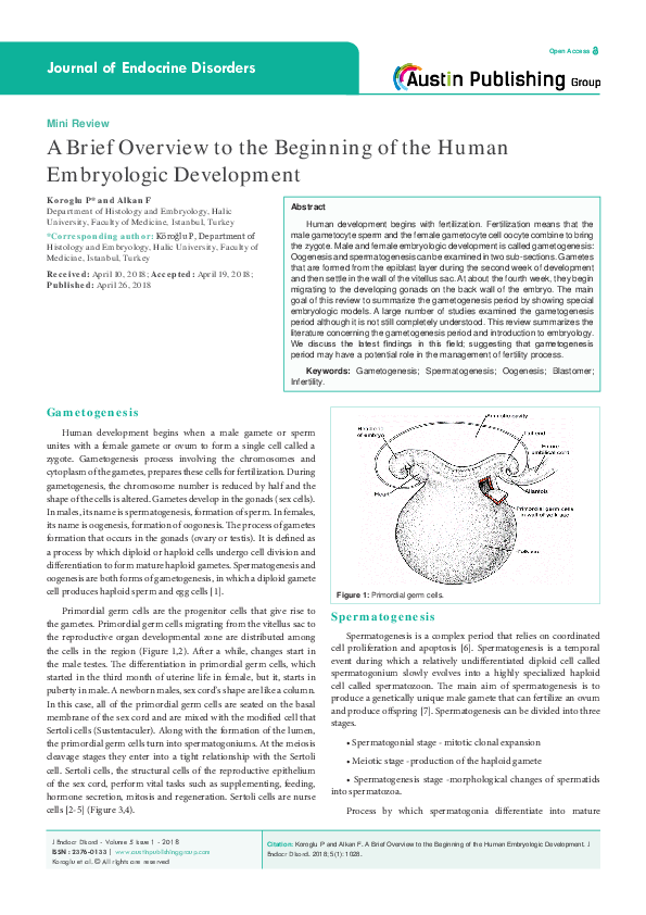 (PDF) A Brief Overview to the Beginning of the Human Embryologic ...