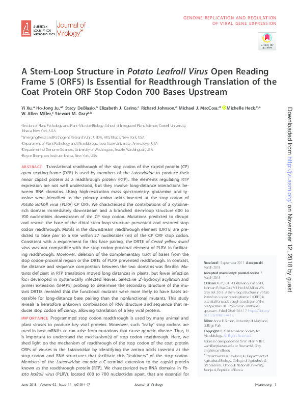 (PDF) A Stem-Loop Structure in Potato Leafroll Virus Open Reading Frame 5 (ORF5) Is Essential ...