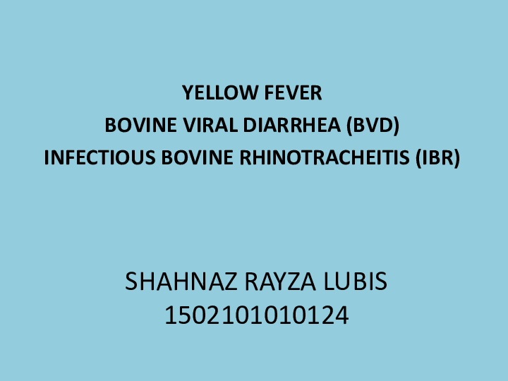 (PPT) INFECTIOUS BOVINE RHINOTRACHEITIS IBR
