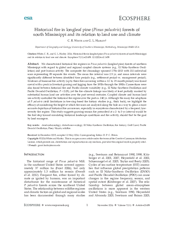 (PDF) Historical fire in longleaf pine (Pinus palustris) forests of ...