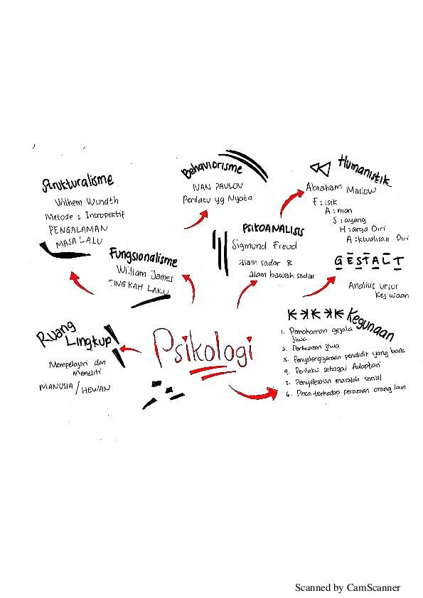(PDF) SAP (mind mapping)