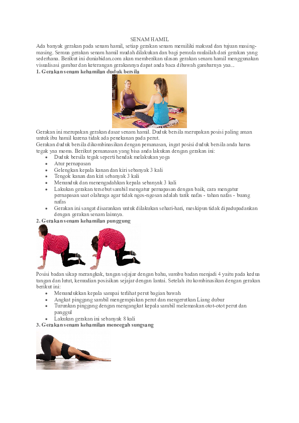 (DOC) SENAM HAMIL.doc