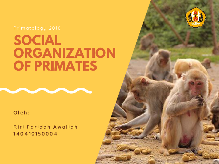 (PDF) SOCIAL ORGANIZATION OF PRIMATES