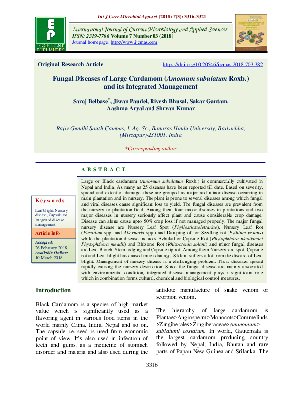 (PDF) Fungal Diseases of Large Cardamom (Amomum subulatum Roxb.) and ...