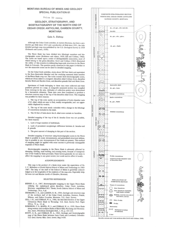 (PDF) Geology, Stratigraphy, and Biostratigraphy of the North End of ...
