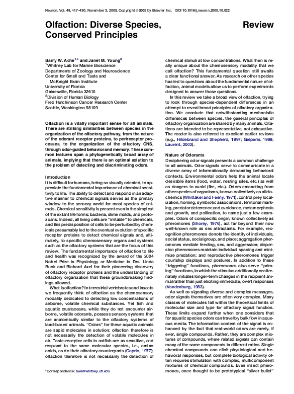 (PDF) Review Olfaction