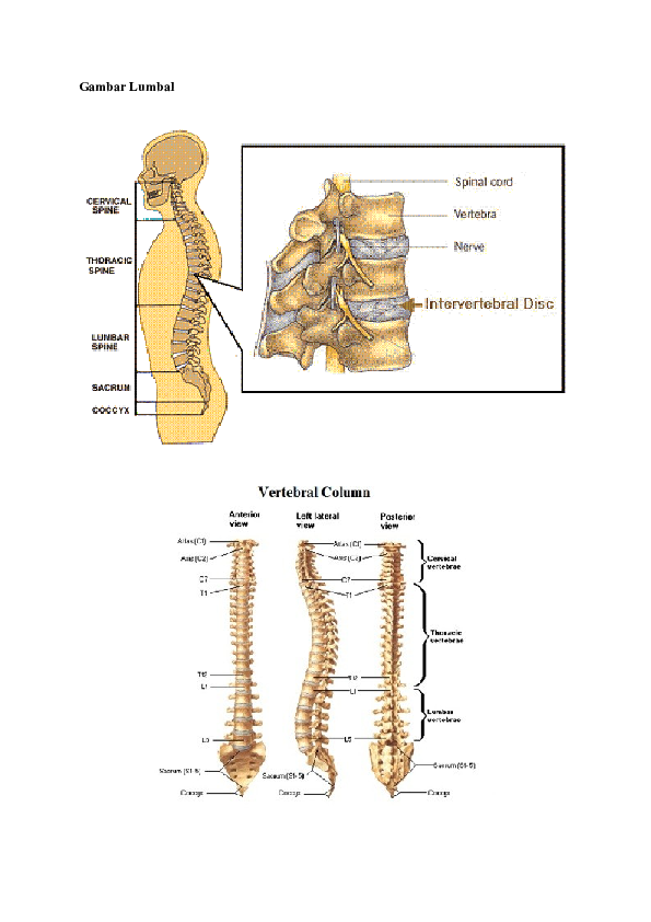 (DOC) Gambar Lumbal Pemeriksaan Fisik | tutus fs - Academia.edu
