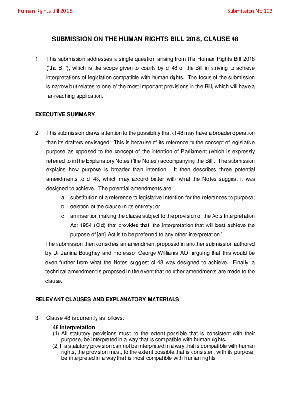 (PDF) Submission on the Human Rights Bill 2018, Clause 48