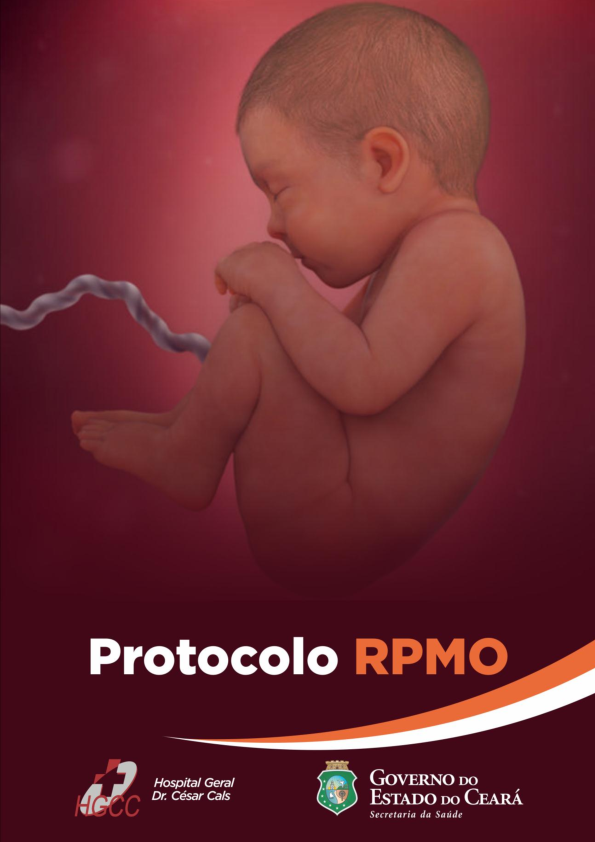 (PDF) Protocolo rpmo