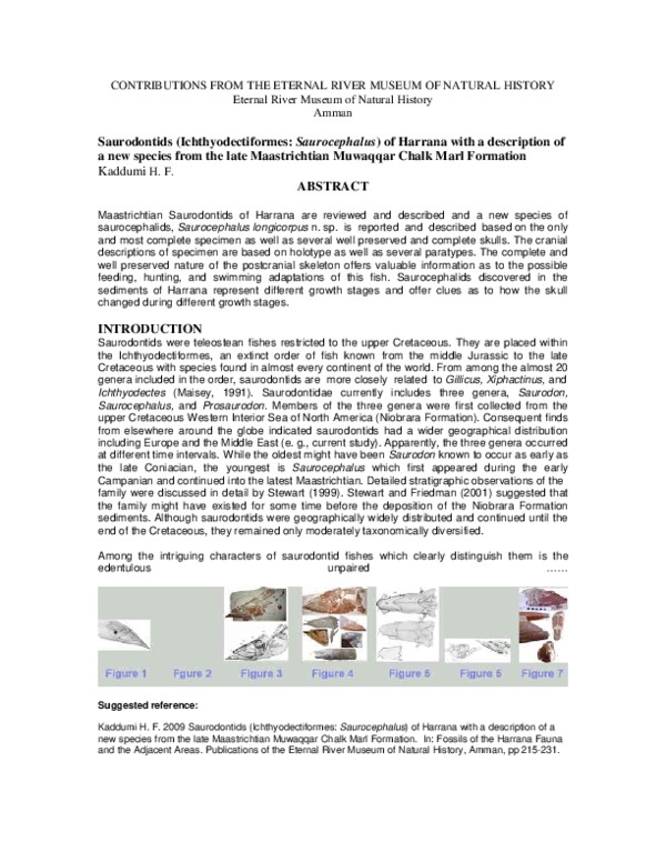 (PDF) Saurodontids (Ichthyodectiformes: Saurocephalus) of Harrana with ...