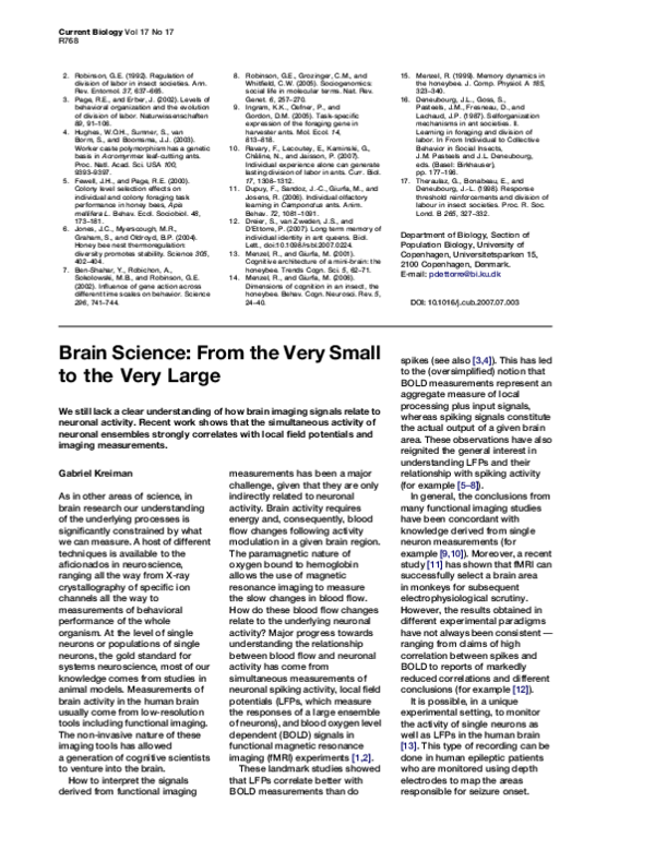 (PDF) Brain Science: From the Very Small to the Very Large | Gabriel ...