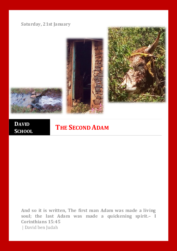 (PDF) The Second Adam