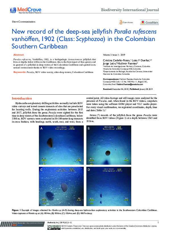 (PDF) New record of the deep-sea jellyfish Poralia rufescens vanhöffen ...