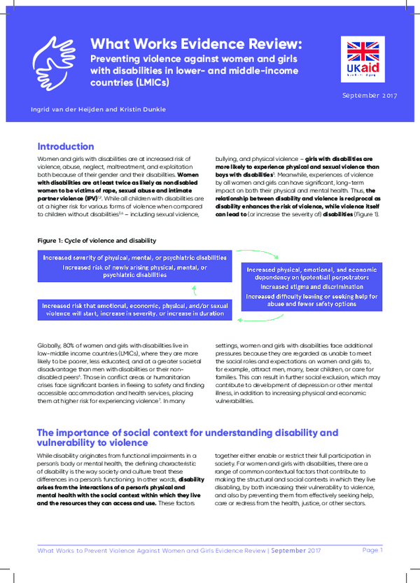 (PDF) Disability Evidence Brief.pdf