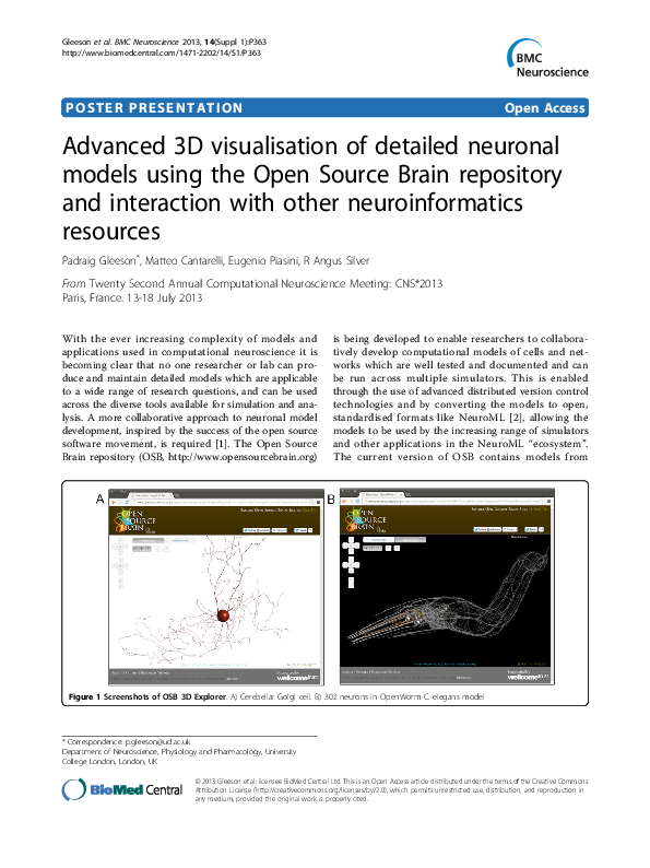 (PDF) Advanced 3D visualisation of detailed neuronal models using the ...