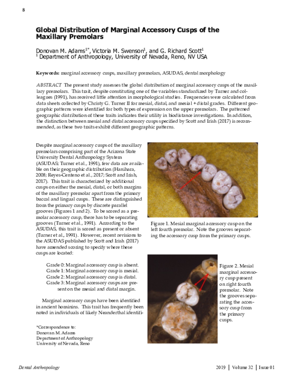 (PDF) Global distribution of marginal accessory cusps of the maxillary ...