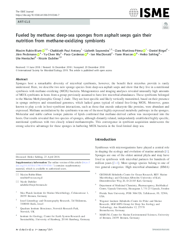 (PDF) Fueled by methane: deep-sea sponges from asphalt seeps gain their ...