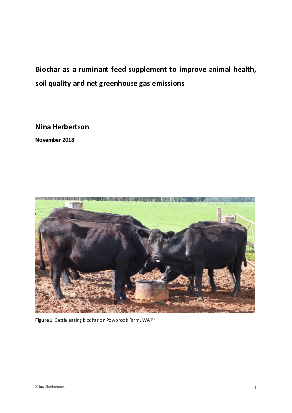(PDF) Biochar as a ruminant feed supplement to improve animal health ...