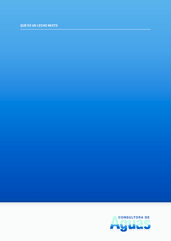 (PDF) 13_Que_es_un_lecho_mixto.pdf