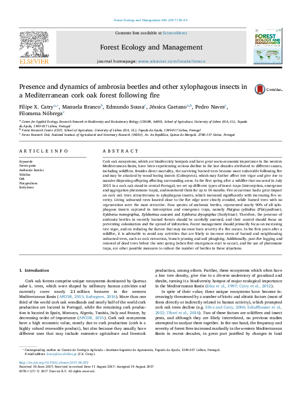 (PDF) Presence and dynamics of ambrosia beetles and other xylophagous ...