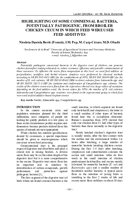 (PDF) Highlighting of Some Commensal Bacteria, Potentially Pathogenic ...