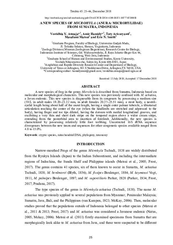(PDF) Treubia-2018-A NEW SPECIES OF MICROHYLA (ANURA MICROHYLIDAE) FROM ...