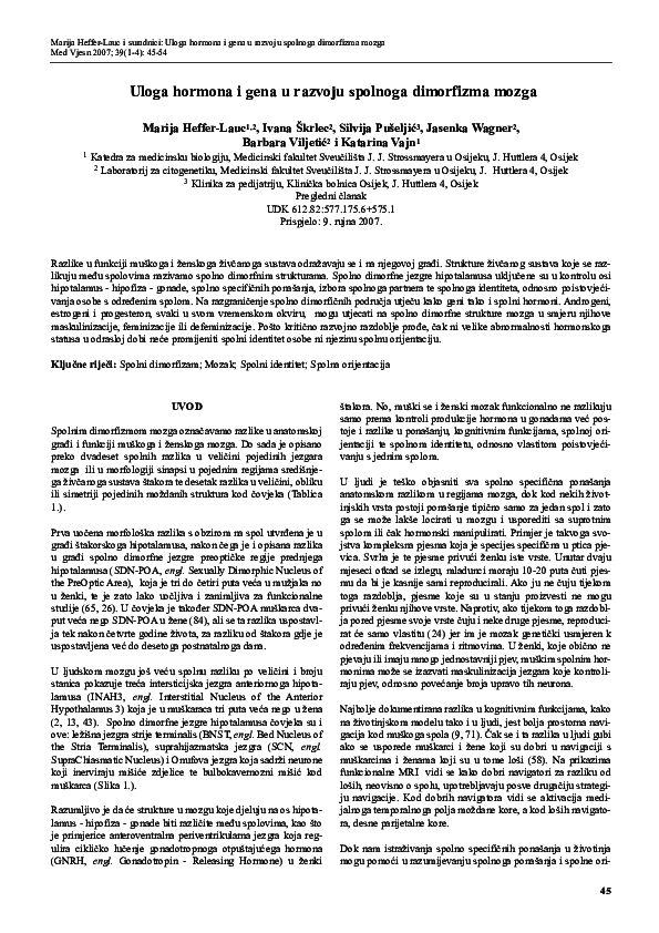 (PDF) Heffer Uloga gena i hormona u razvoju mozga