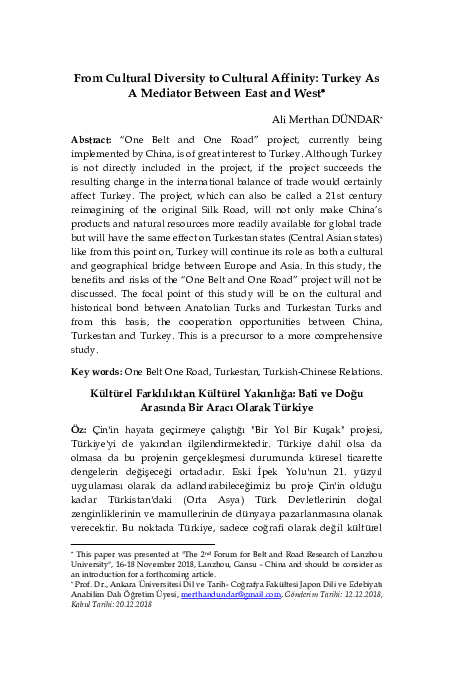 (PDF) From Cultural Diversity to Cultural Affinity Turkey As A Mediator ...