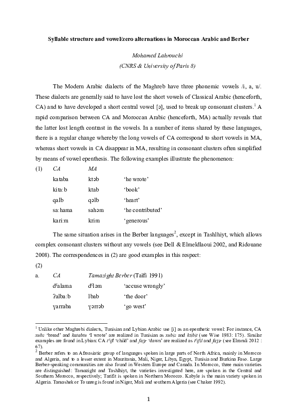 (PDF) Syllable structure and vowel/zero alternations in Moroccan Arabic ...