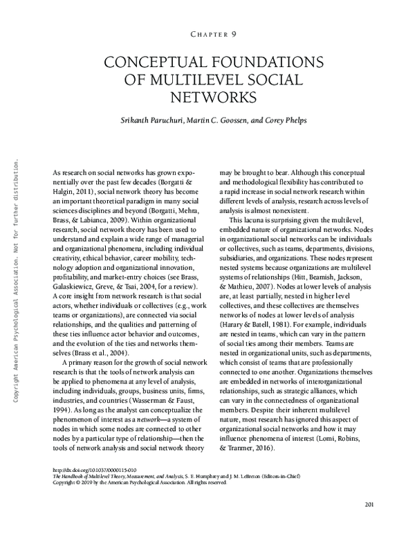 Pdf Conceptual Foundations Of Multilevel Social Networks