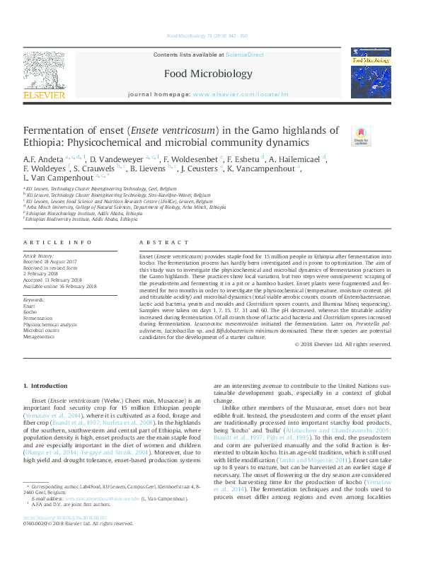 (PDF) Fermentation of enset (Ensete ventricosum) in the Gamo highlands.pdf