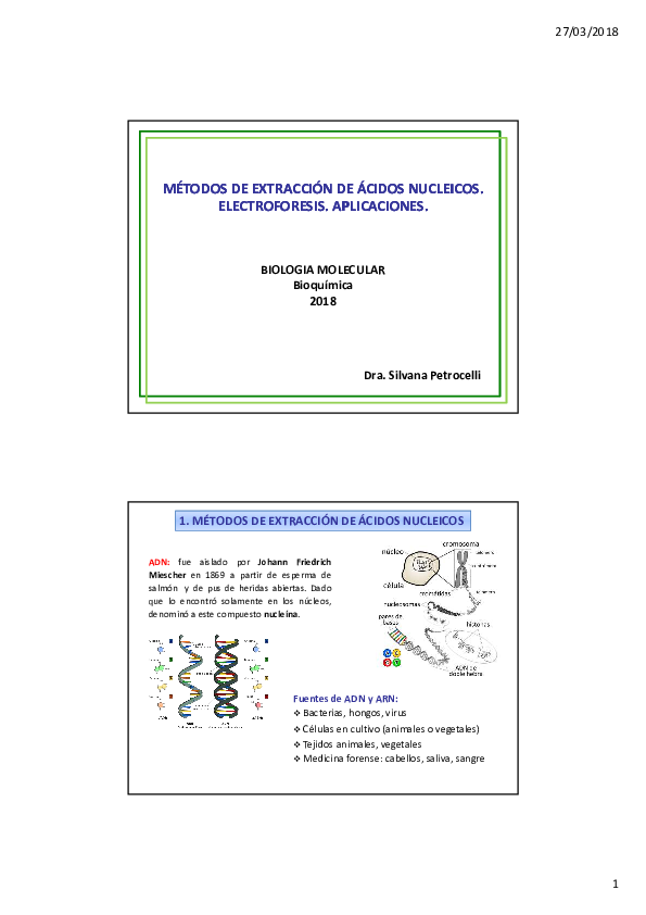 (PDF) Extraccion de Adn