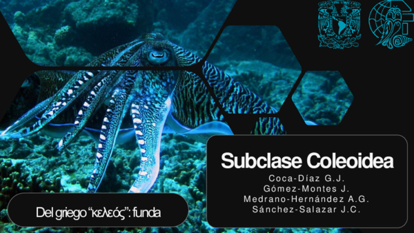 (PPT) Subclase Coleoidea | Carlos Sánchez - Academia.edu