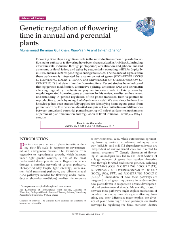 (PDF) Genetic regulation of flowering time in annual and perennial plants