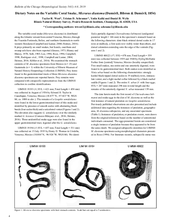 (PDF) Dietary Notes on the Variable Coral Snake, Micrurus diastema ...